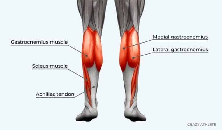 Top 5 Best Calf Exercises for Bigger Legs (RAPID GROWTH!)